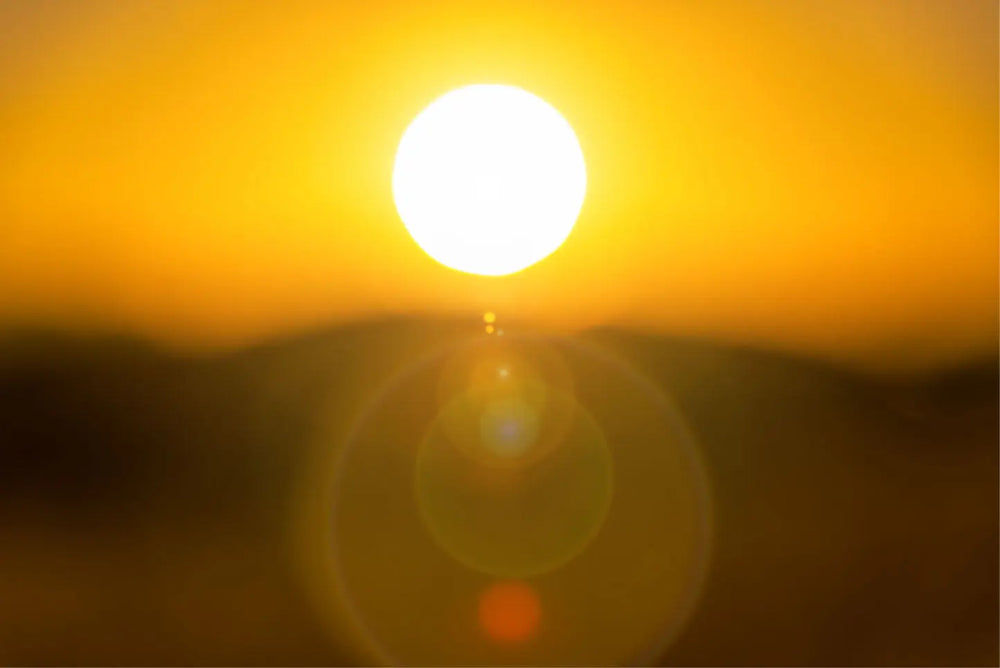 Limiting Sun Exposure - Becker Safety and Supply