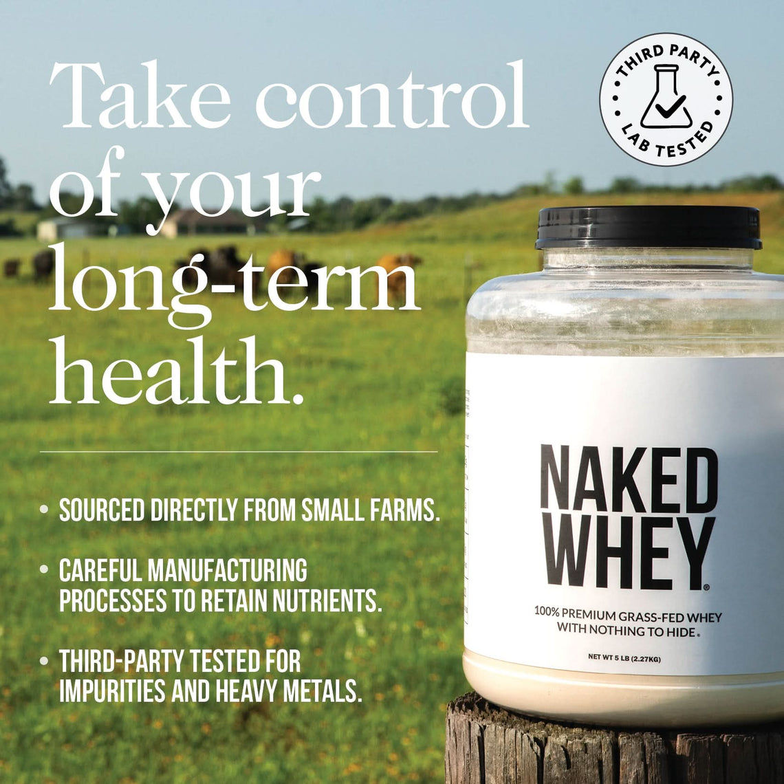 Vanilla Whey Protein Powder 2lb - Naked Whey