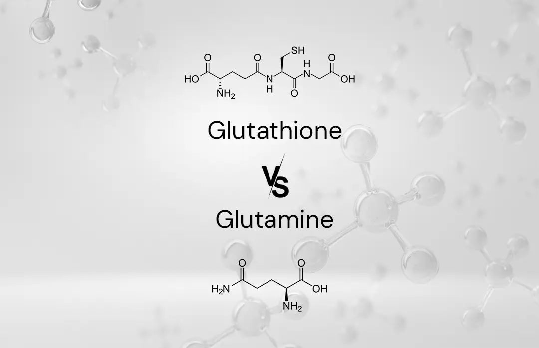 glutamine glutamate difference