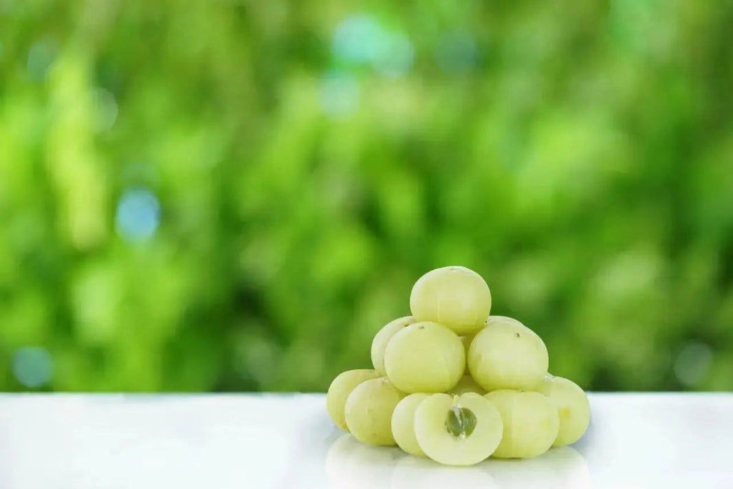 Potential Use of Amla (Phyllanthus Emblica) Fruit Extract for Healthy